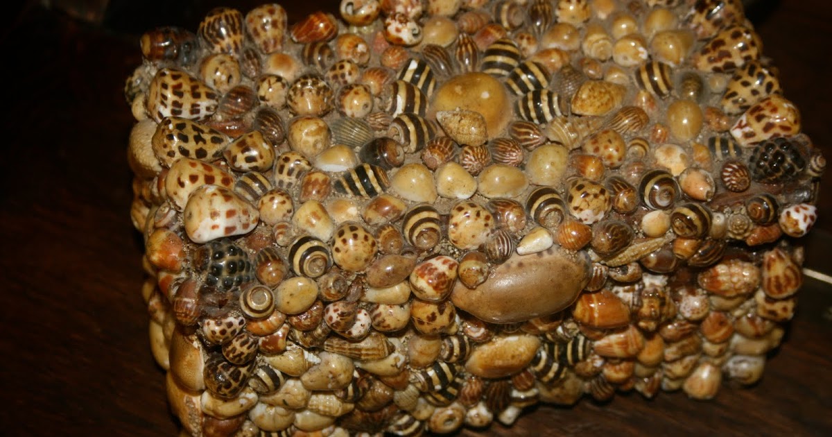 vignette design: Collecting Shell Art