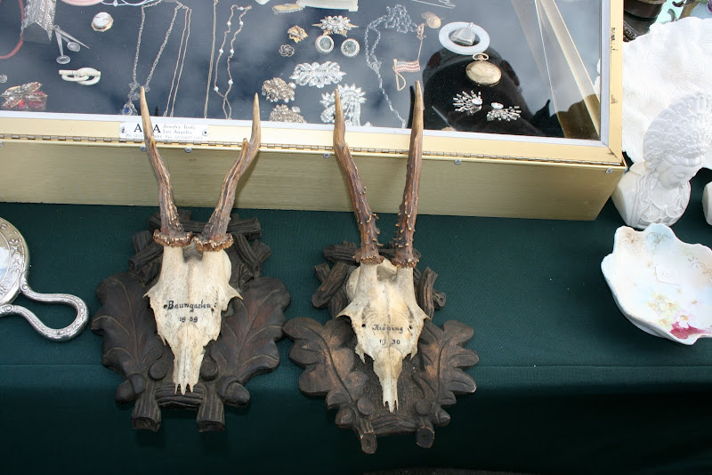 vignette design: Collecting Antlers