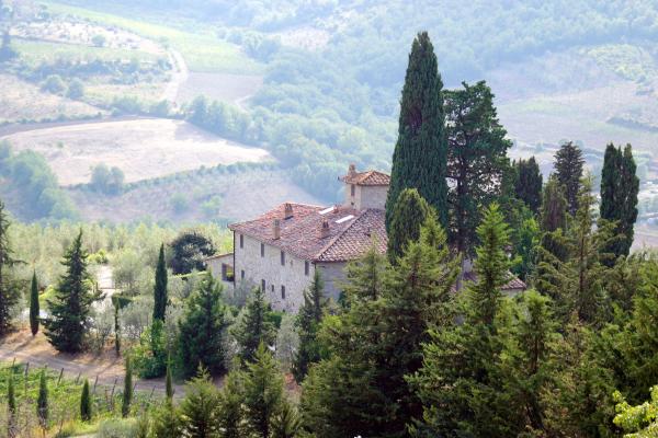 vignette design: Italian Cypress Trees