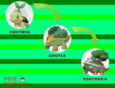 Rede Pokemon: evolution do turtwig
