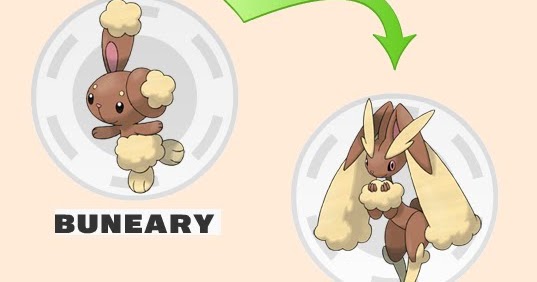 Rede Pokemon: evolution do bunearry