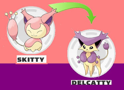 Rede Pokemon: evolution do skitty