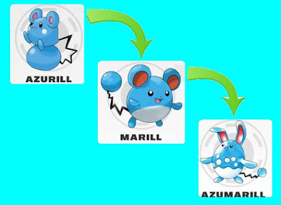Rede Pokemon: evolution do azurill