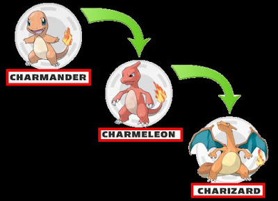 Rede Pokemon: evolution charmander