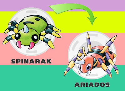 Rede Pokemon: evolution spinarak