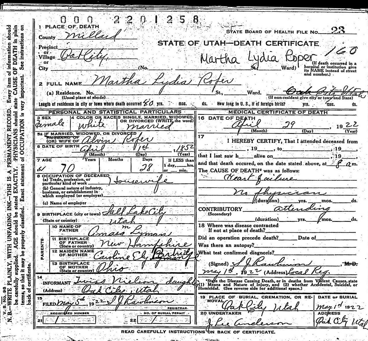 Vincent Family History