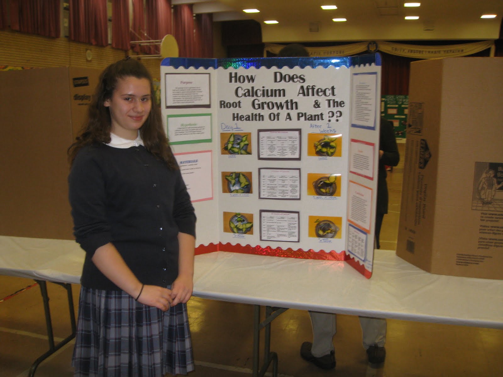 My Science Classroom: Science Fair 2010