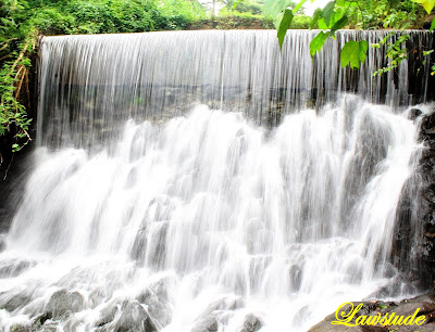 its me!!: Palayan City