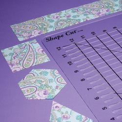 The One Income Dollar: Review:The Shape Cut Plus (June Tailor,Inc.)