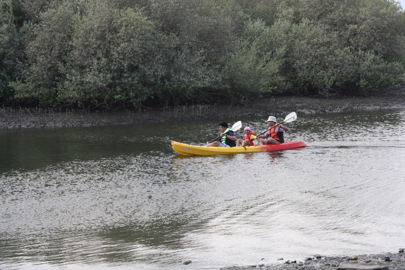 Through Traveler's Eyes: Kayaking in the Kalba Khor