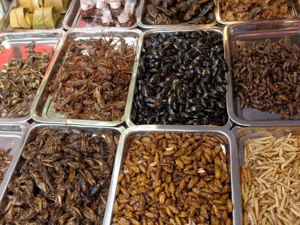 The Lethological Gourmet: Friday rant - Fried Cockroaches