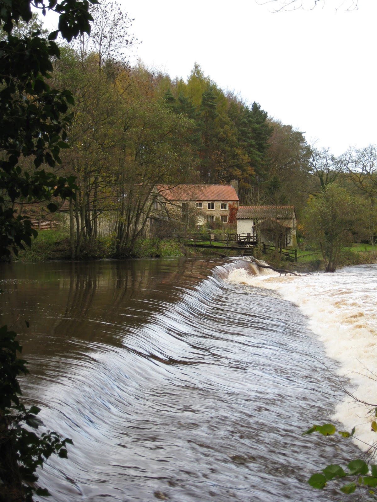 Jim & Gill's Walks: Knaresborough & The Nidd Gorge