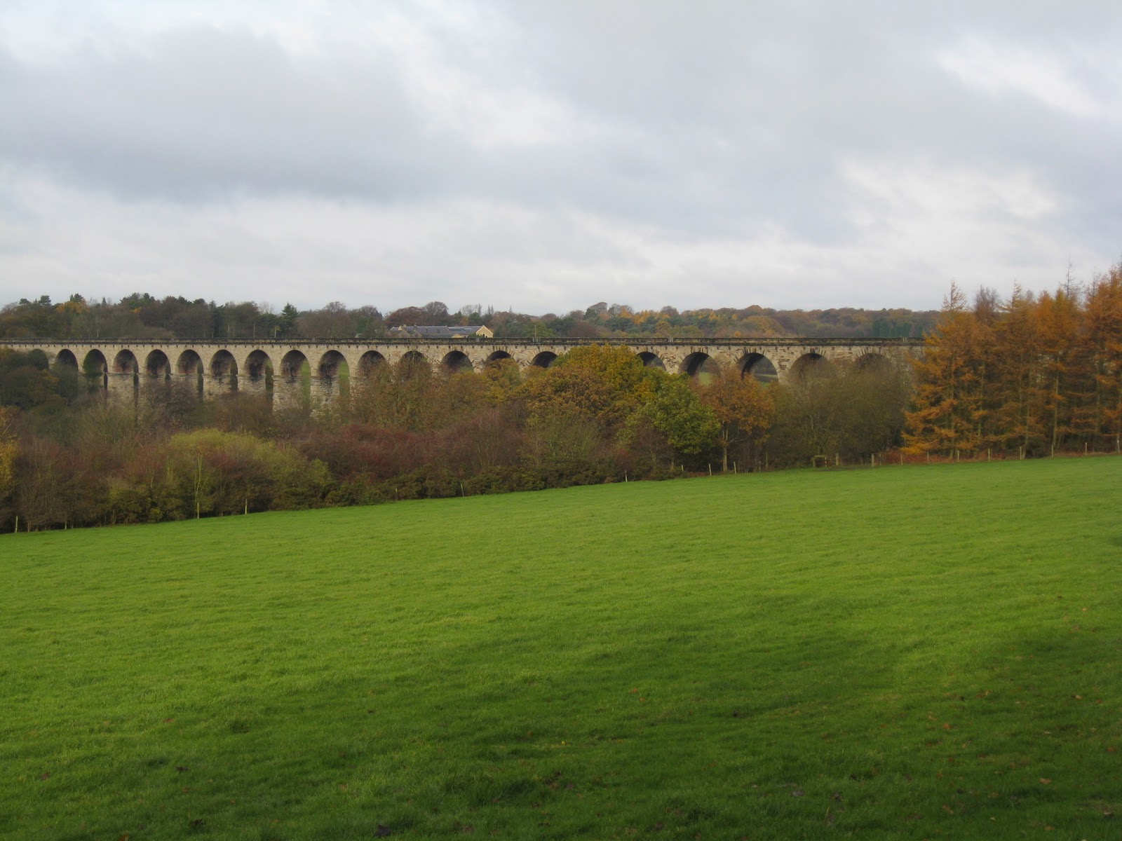 Jim & Gill's Walks: Harrogate and Follifoot