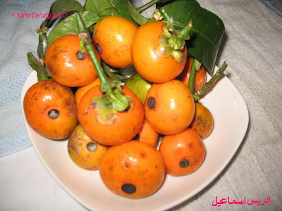 IdrisTalu: Buah Cerapu (Kecupu)