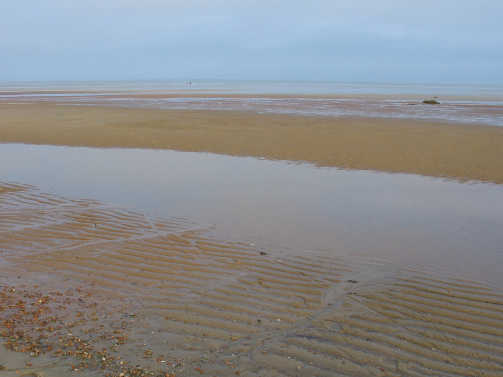 SCM - Wet & Dry: Mudflat/Pianura fangosa/泥滩