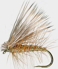 Fly Fishing In Yellowstone National Park: 06/01/2012 - 07/01/2012