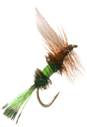 Fly Fishing In Yellowstone National Park: The Green Butt