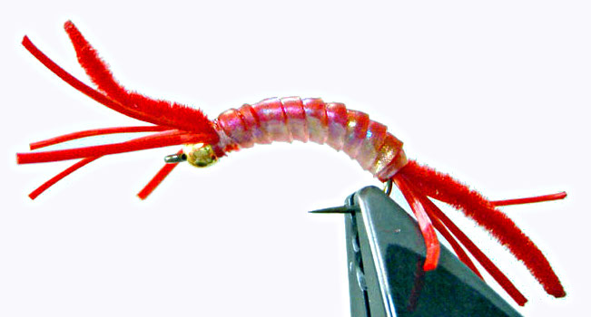 Fly Fishing In Yellowstone National Park: 01/01/2011 - 02/01/2011