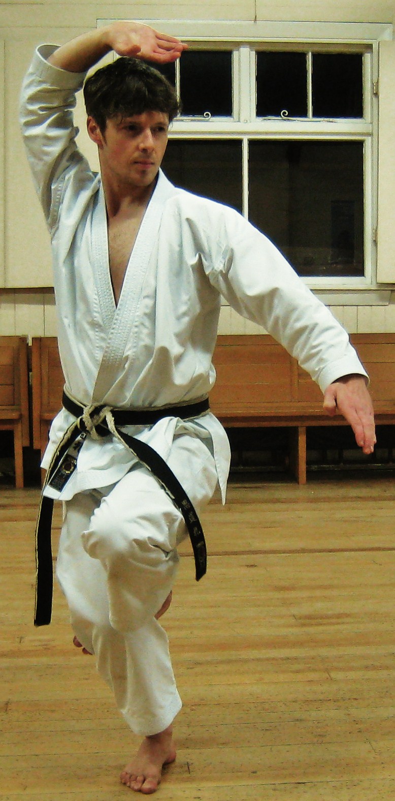 André Bertel's Karate-Do: August 2010