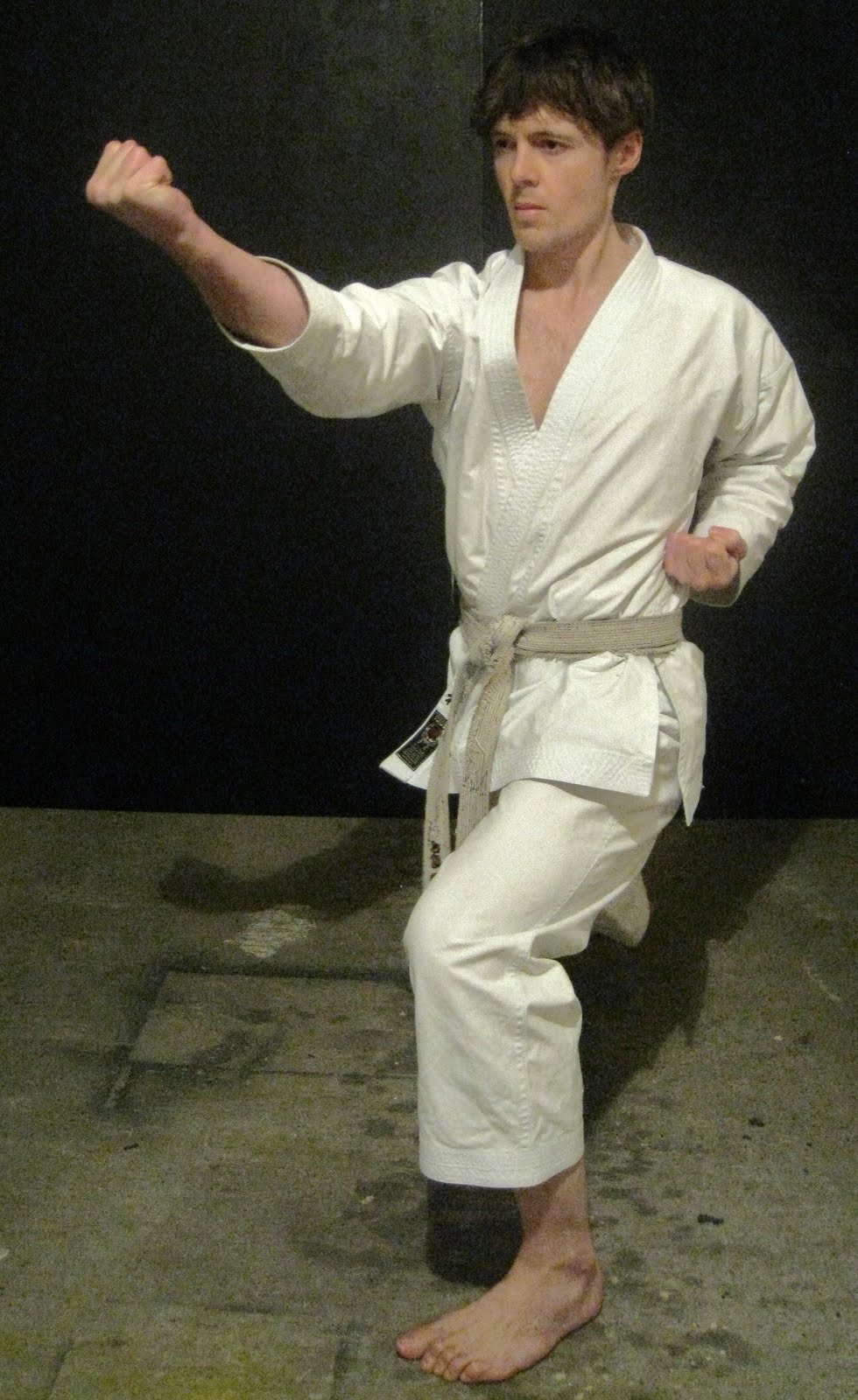 André Bertel's Karate-Do: Karate Master