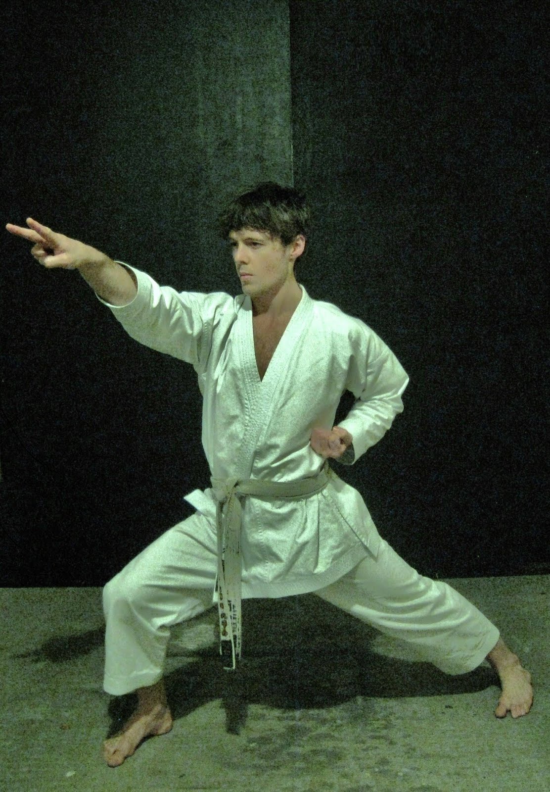 André Bertel's Karate-Do: Karate Master