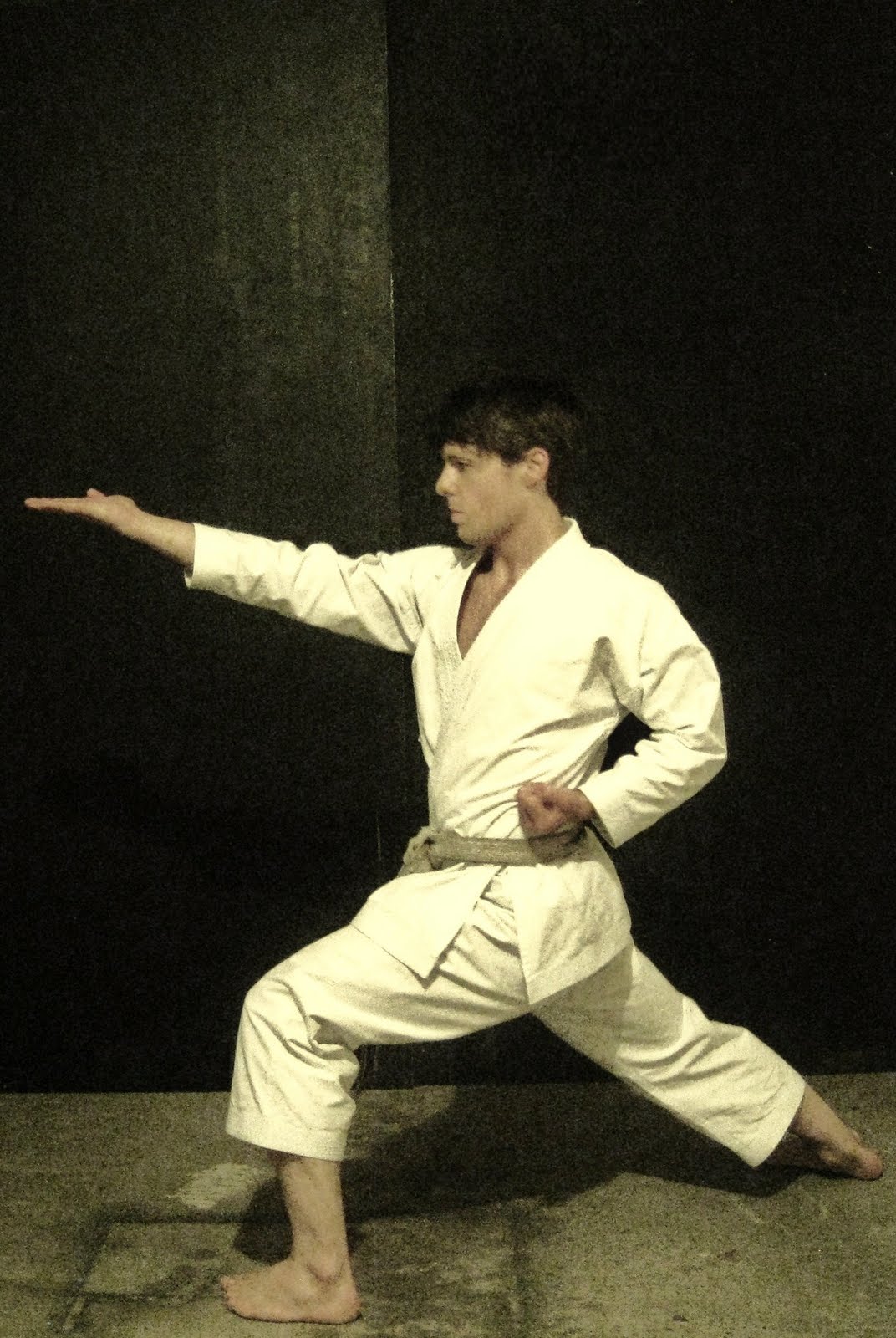 André Bertel's Karate-Do: Karate Master