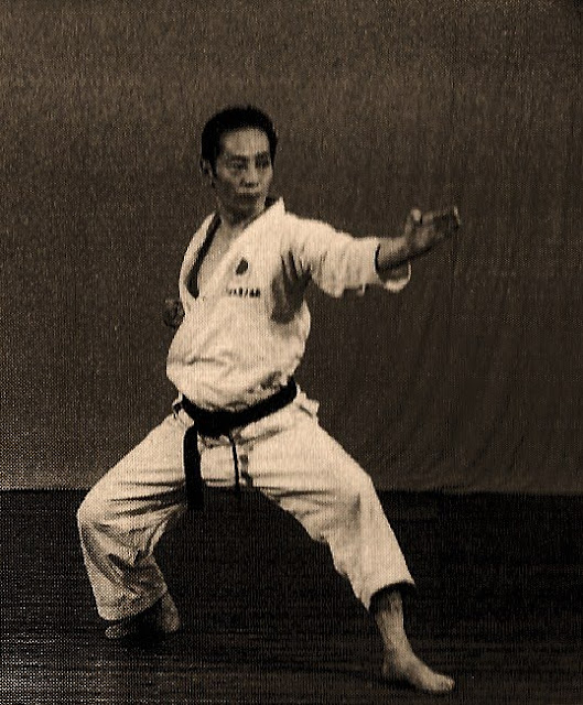 André Bertel's Karate-Do: The Most Important Shotokan Kata