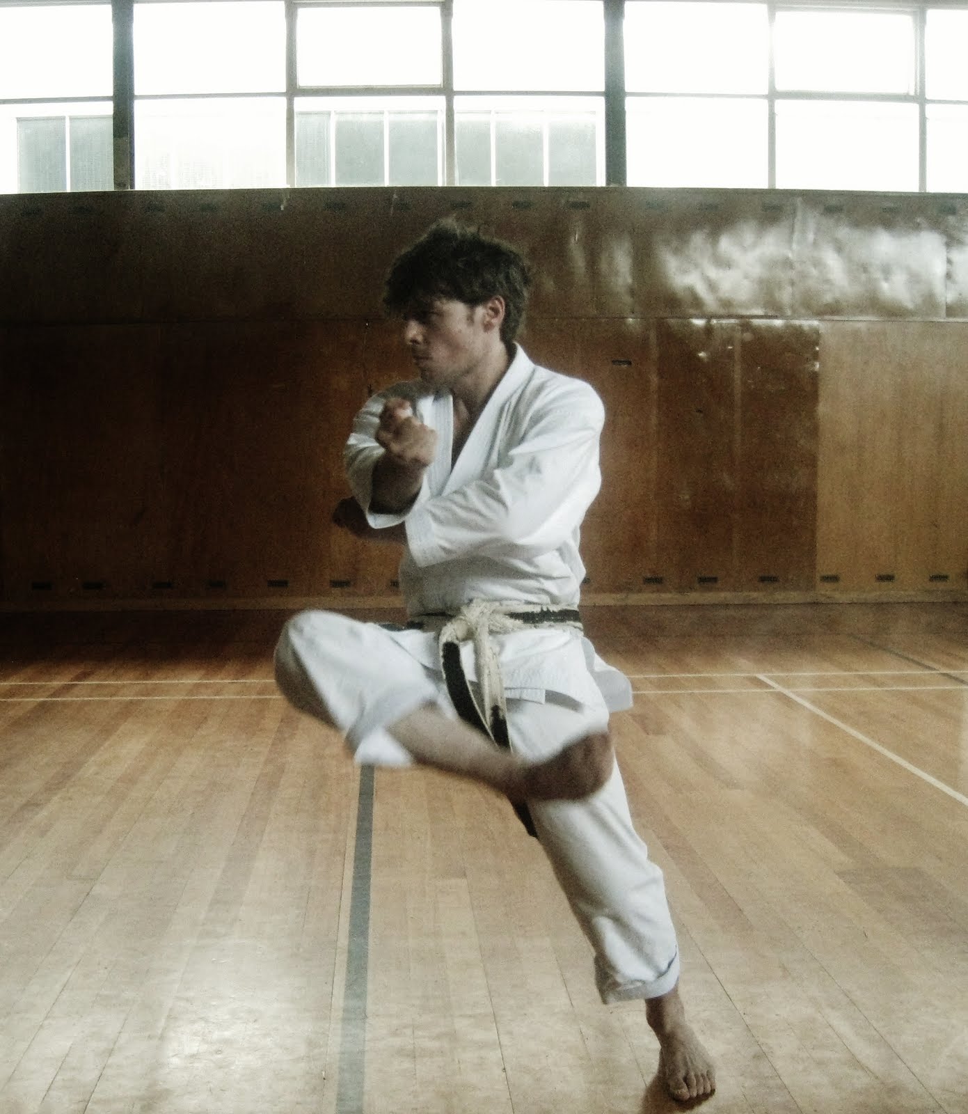 André Bertel's Karate-Do: SEIRYU KATA ON YOUTUBE