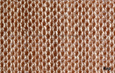 Macro y microfotografia: Macrofotografía: Protector de tejido o tirita