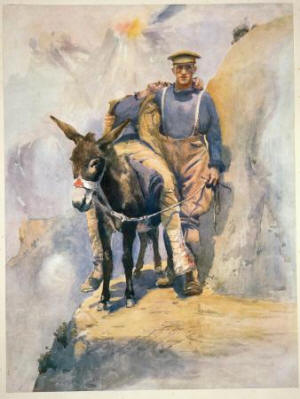 Northumbrian Gunner: John Simpson Kirkpatrick "the man with the donkey"
