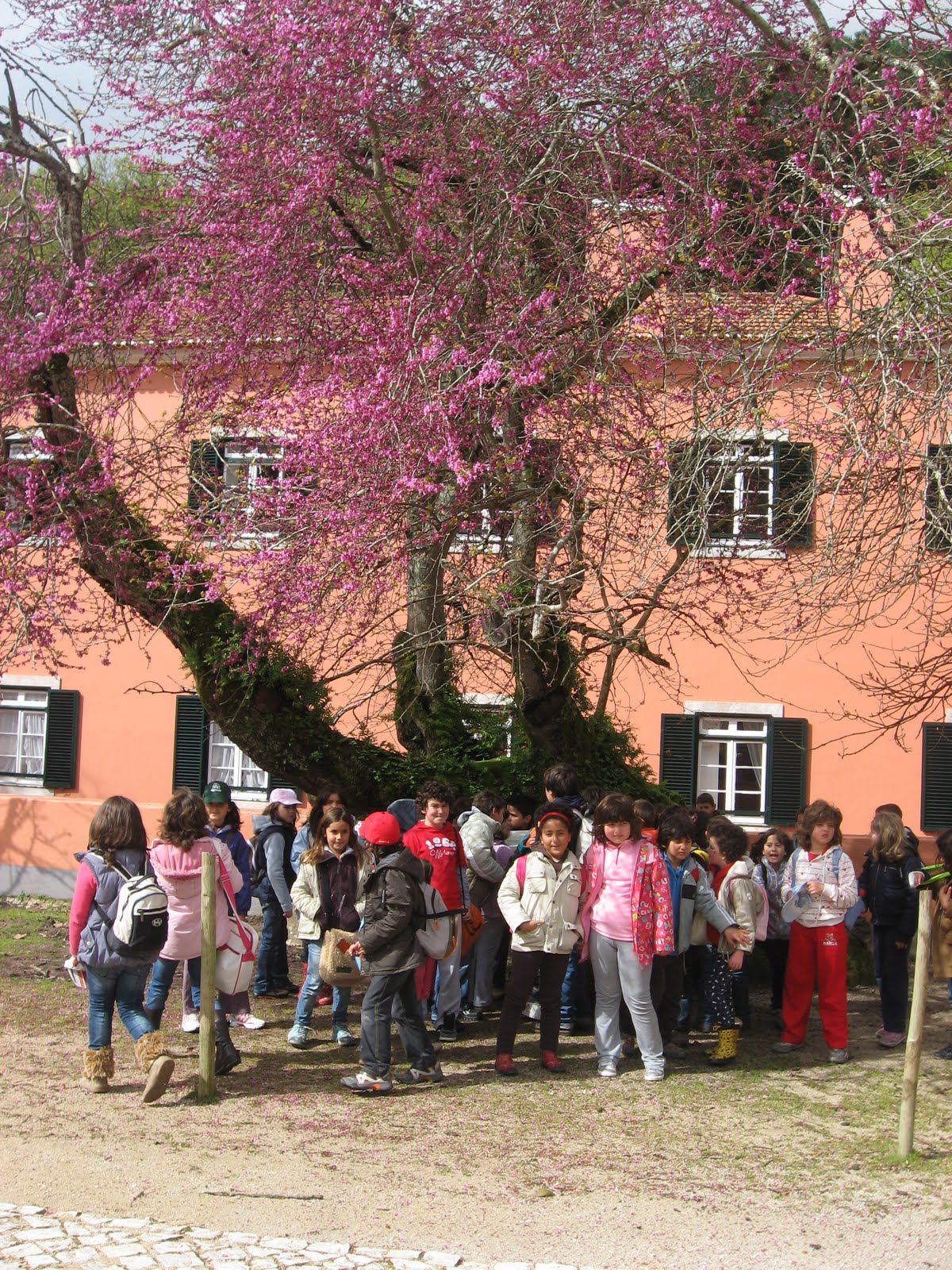 A Turma do4º B: Tapada de Mafra