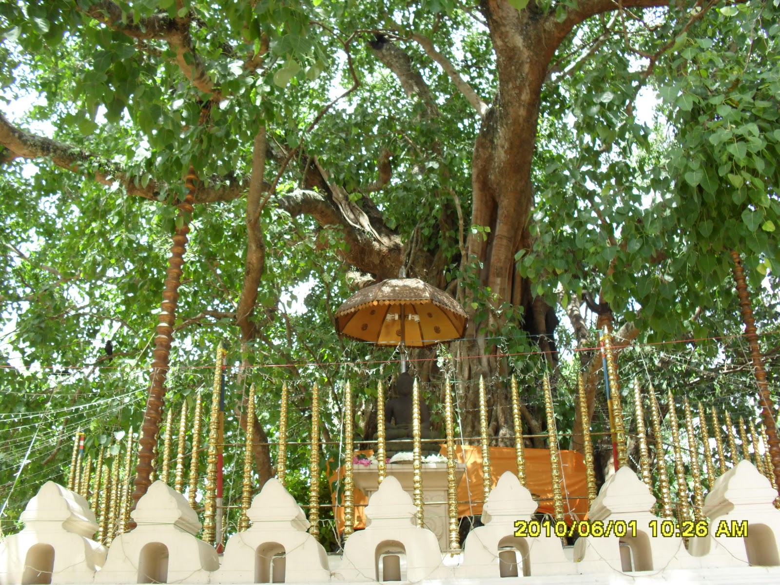 Bellanwila Rajamaha Viharaya