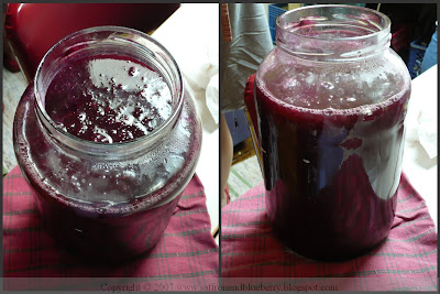 Saffron & Blueberry: Wojapi: Indian Fruit Pudding - Le Pudding aux ...