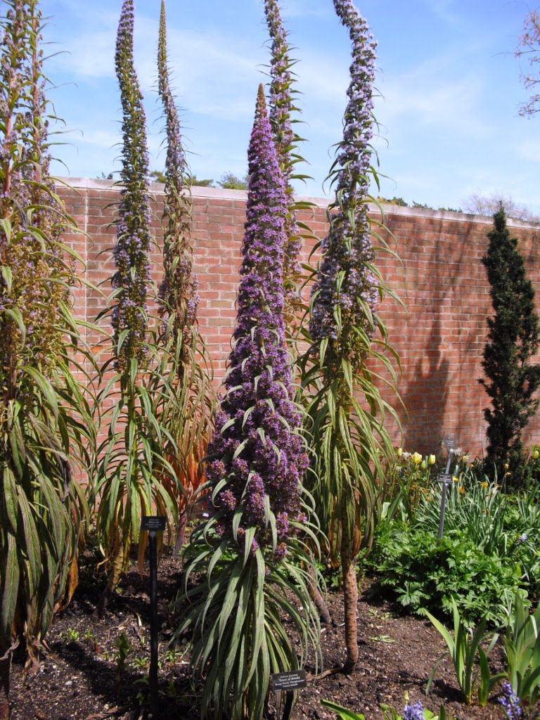 Life Among the Leaves: Field Trip: Chicago Botanic Gardens 4/28/10, Part 3