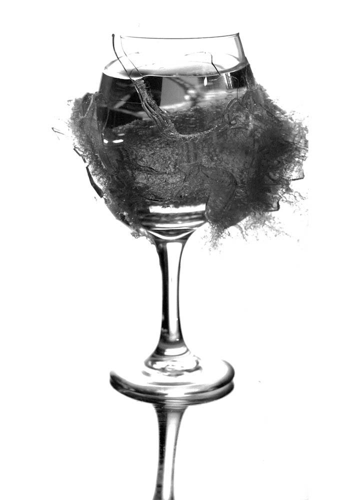 Peter Andrén Architectural Mutations