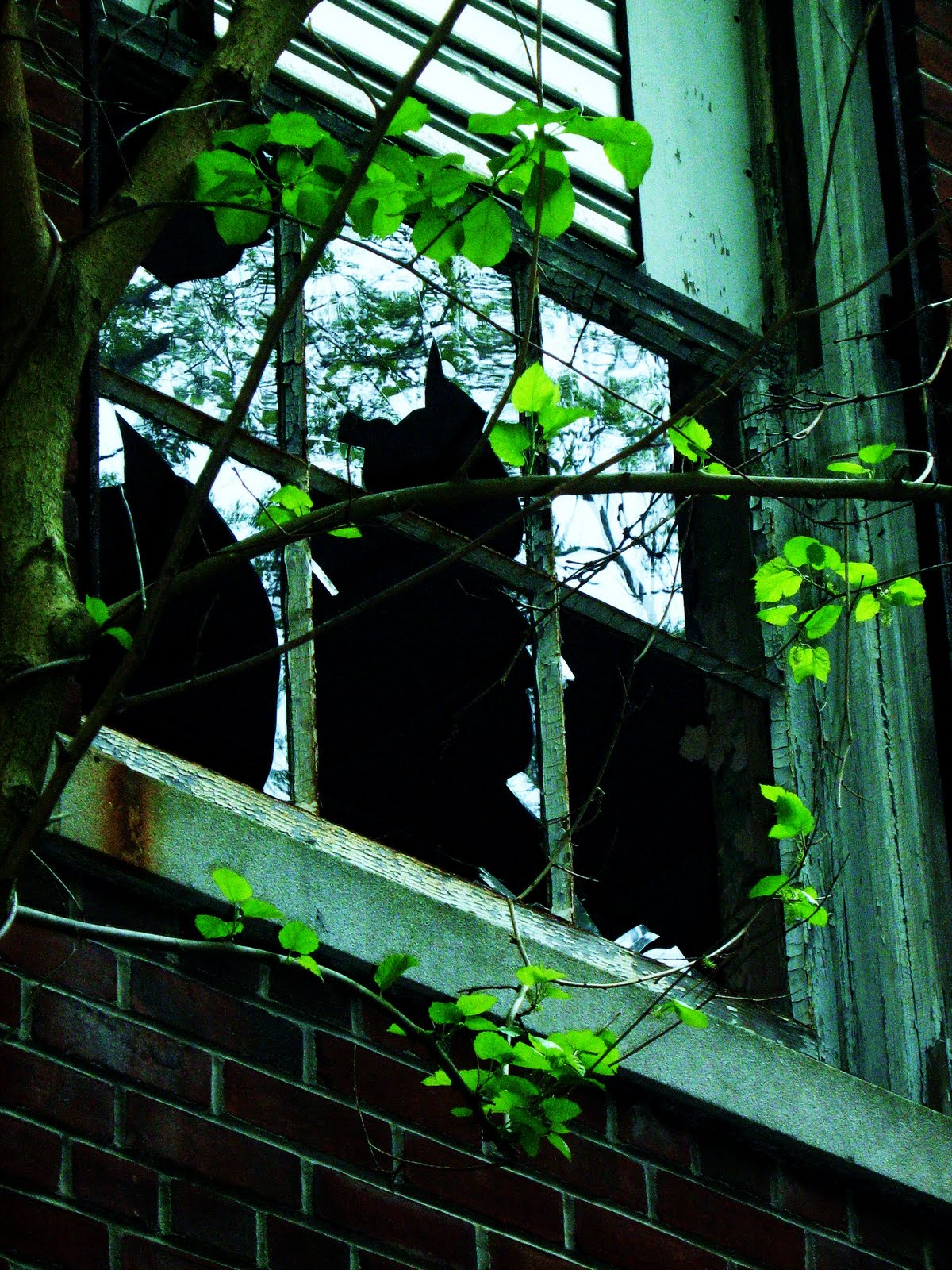 The Long Island Frugalist: Nissequogue River State Park