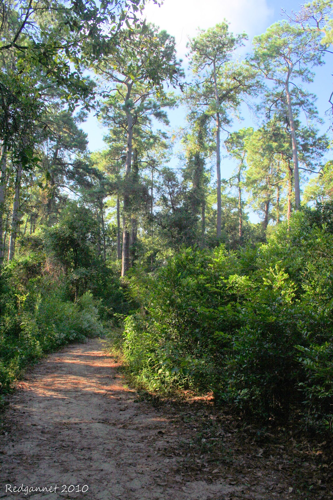 Redgannet: Houston Arboretum and Nature Center, Houston, Texas