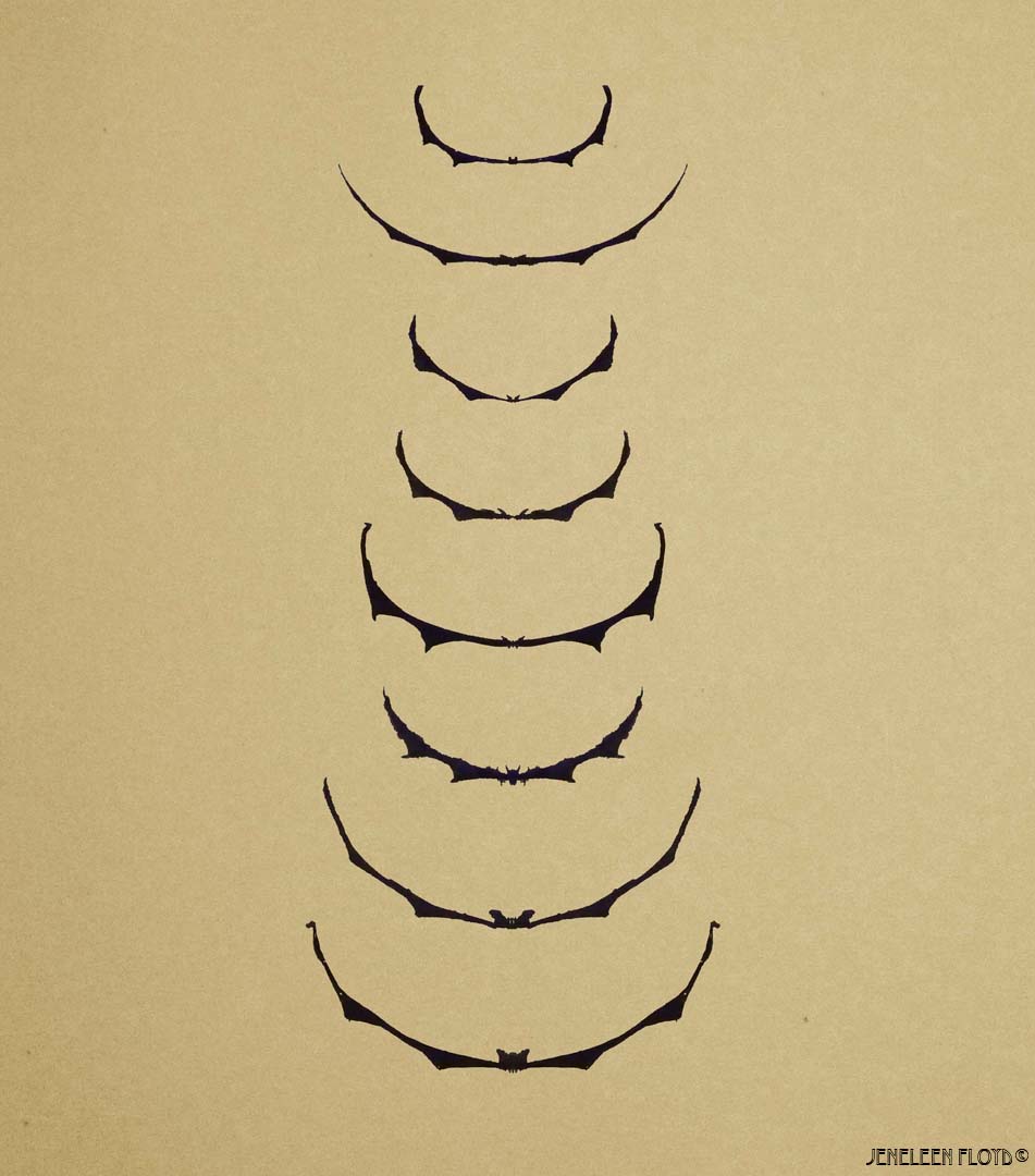 Refined Armour: Rorschach Bats, Illustrations