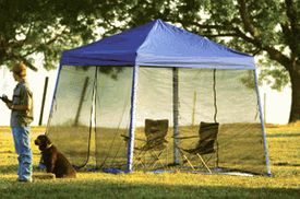 Ace Canopy: You Need Your Shelter All Year Round!