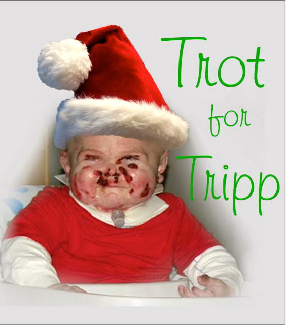 "EB"ing a Mommy: Christmas Trot for Tripp