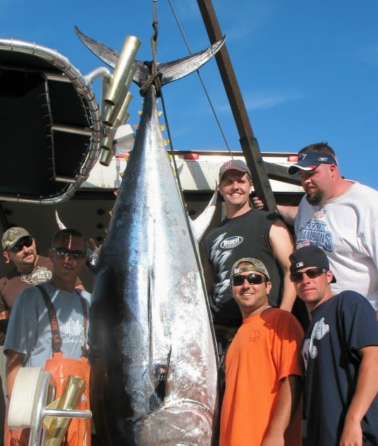 Drunk Nothings: 800 lb tuna