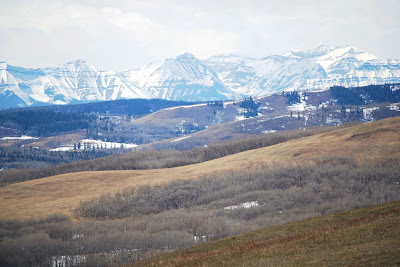 Coastal Confluences: Alberta Foothills in April