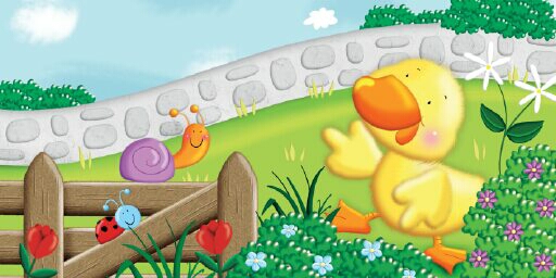 Marie Allen Illustration