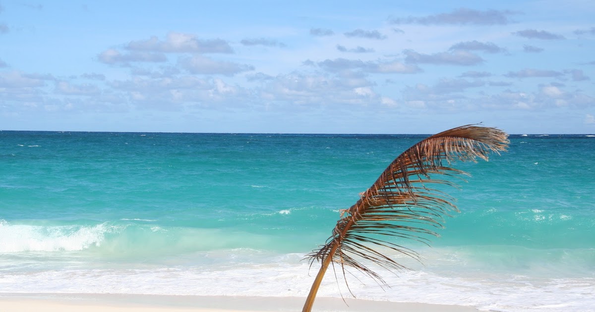 The Rum Collective: Barbados Rum: A Tour of Tours