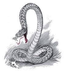 Kétsia: Cobra Norato