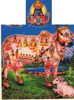 Gomatha Stuti ~ Sai Raghavendra