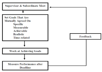 Management By Objectives (MBO) ~ Z U L F E K A R S H U M O N
