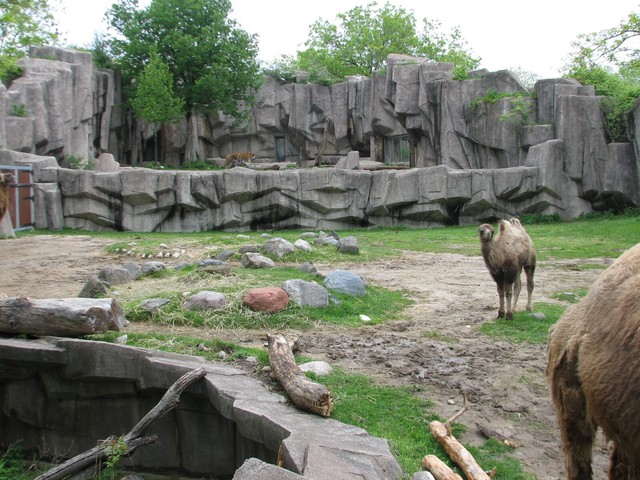 "Let All the Children Boogieay": Smart Commercial Design: Predator ...