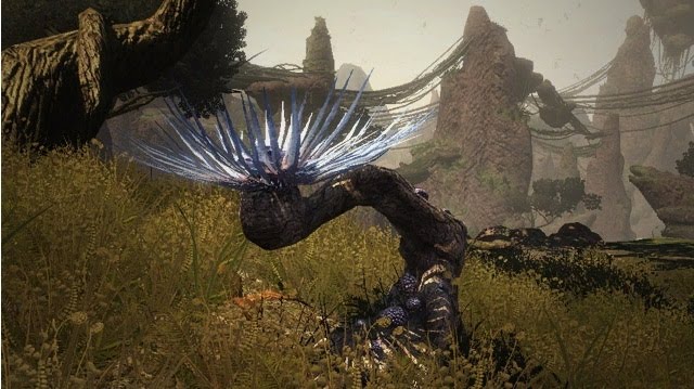 Omatikaya: Flora of Pandora