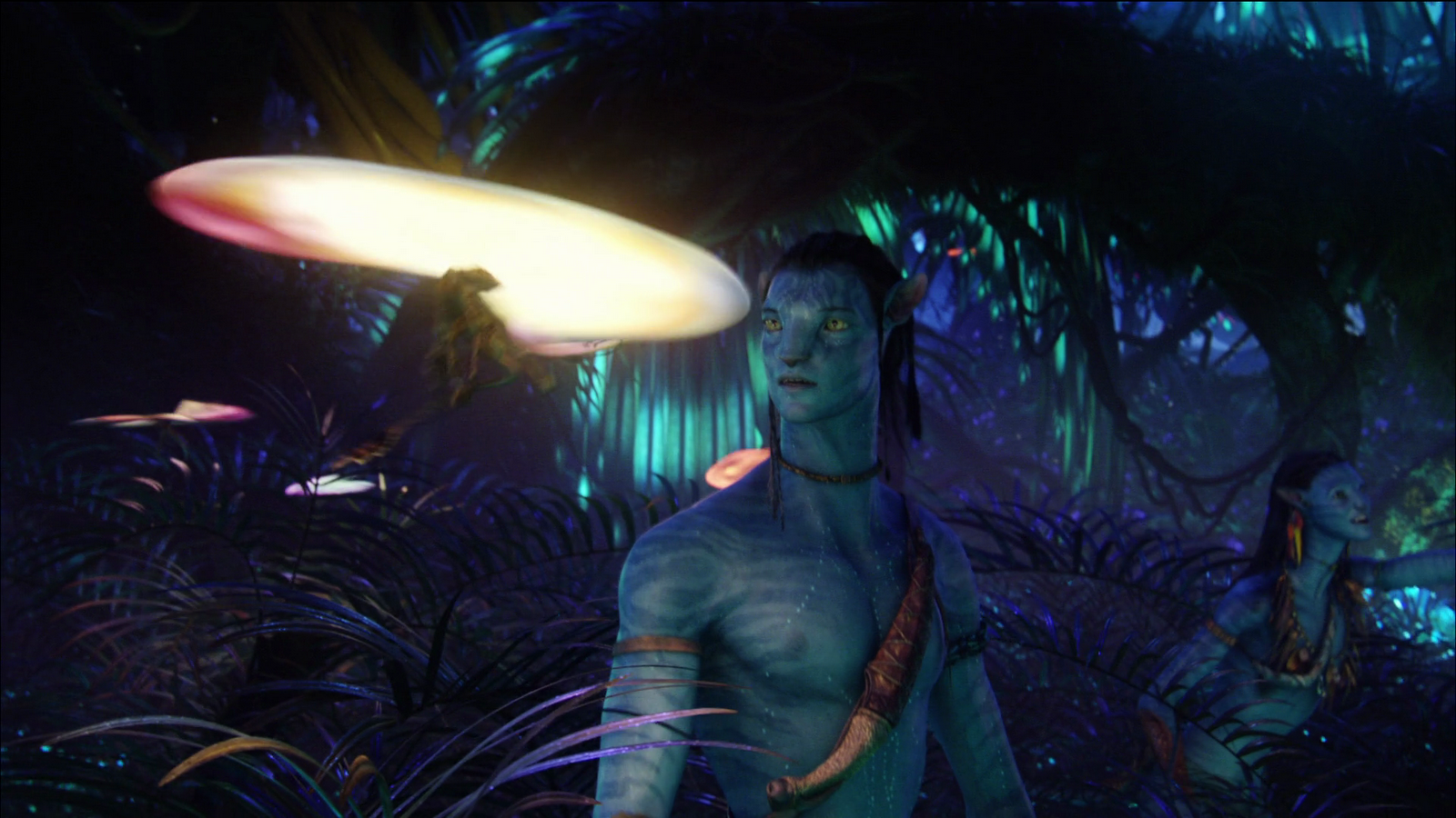 Omatikaya: The Amazon Rainforest and Avatar II